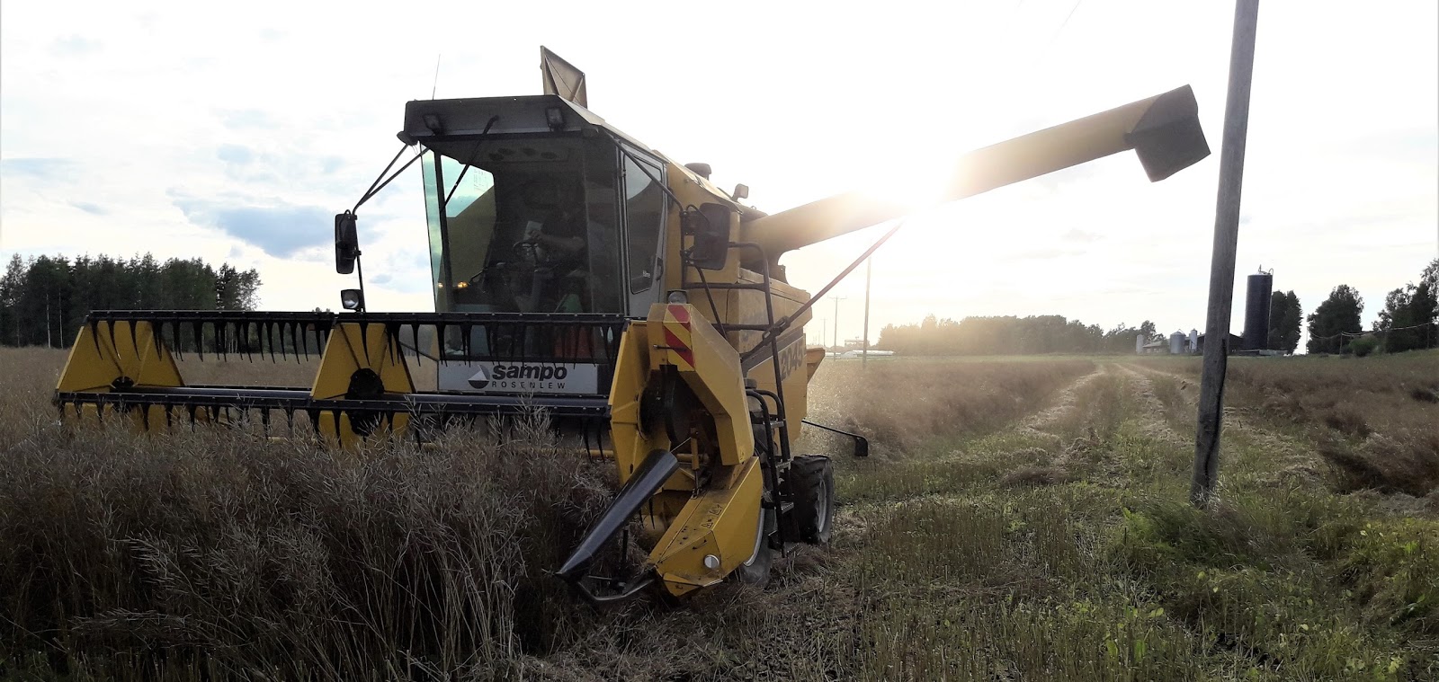 Huljalan Tupalassa: Pieniä pyöreitä mustia