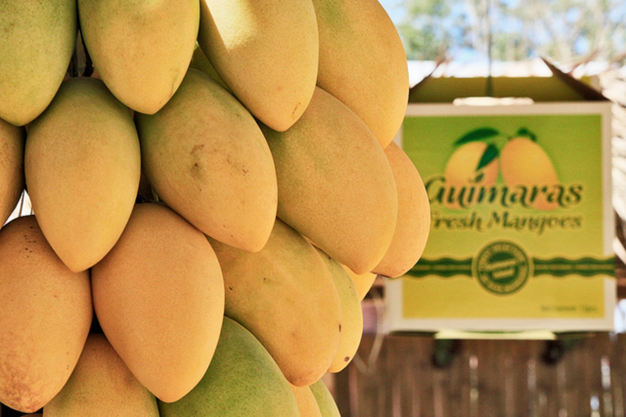 Ocean Breeze: Province of Guimaras Places of Interests