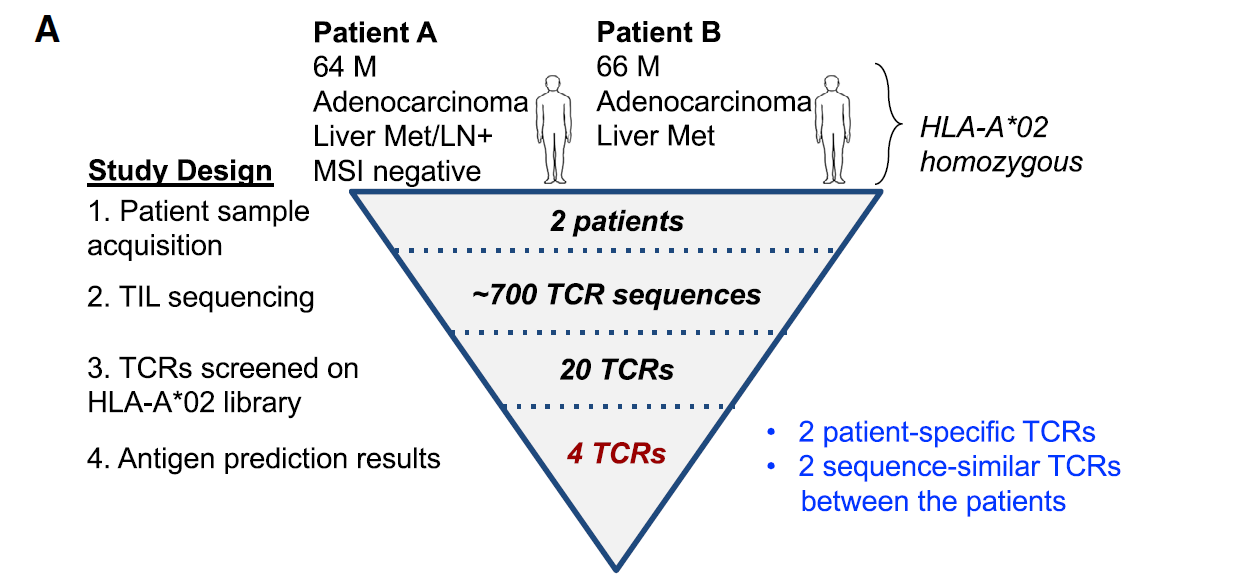 Effort to identify tumor-specific antigens: The University Industrial ...