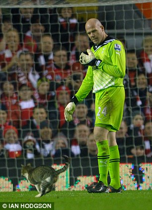 The Adventure's Of Ralph: The Anfield cat who ran onto the Liverpool ...