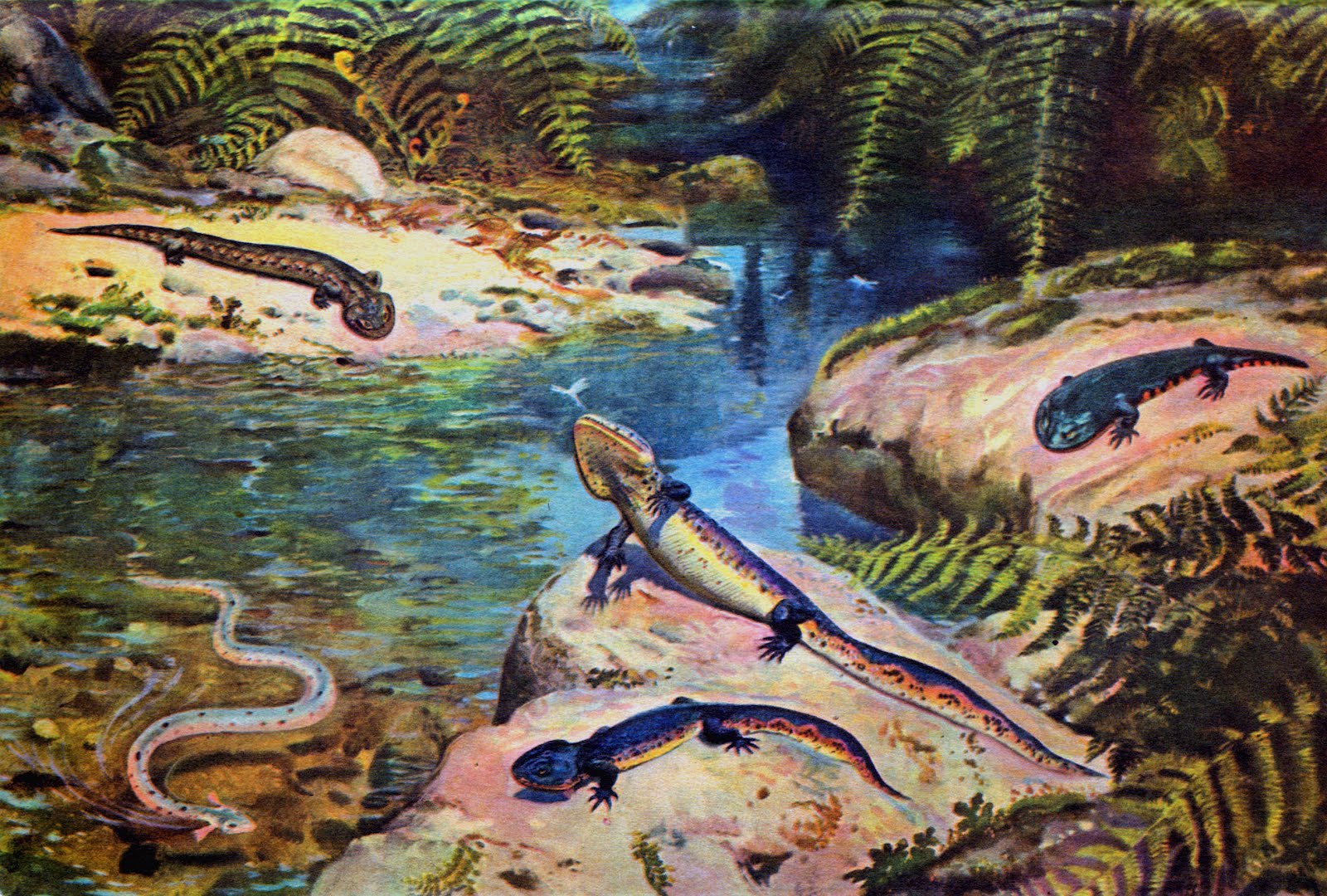 Neat Stuff Blog: More Burian