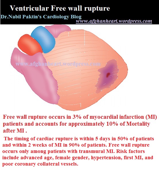 Dr.Nabil Paktin's Cardiology Blog مجله کاردیولوژی دکتور نبــیل پاکطـین ...