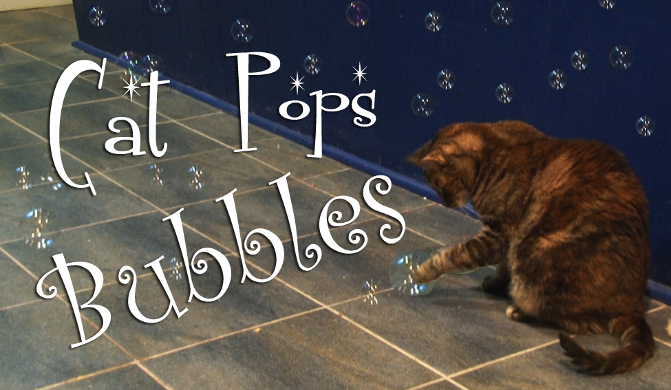 Henson's Hell: Cat Pops Bubbles