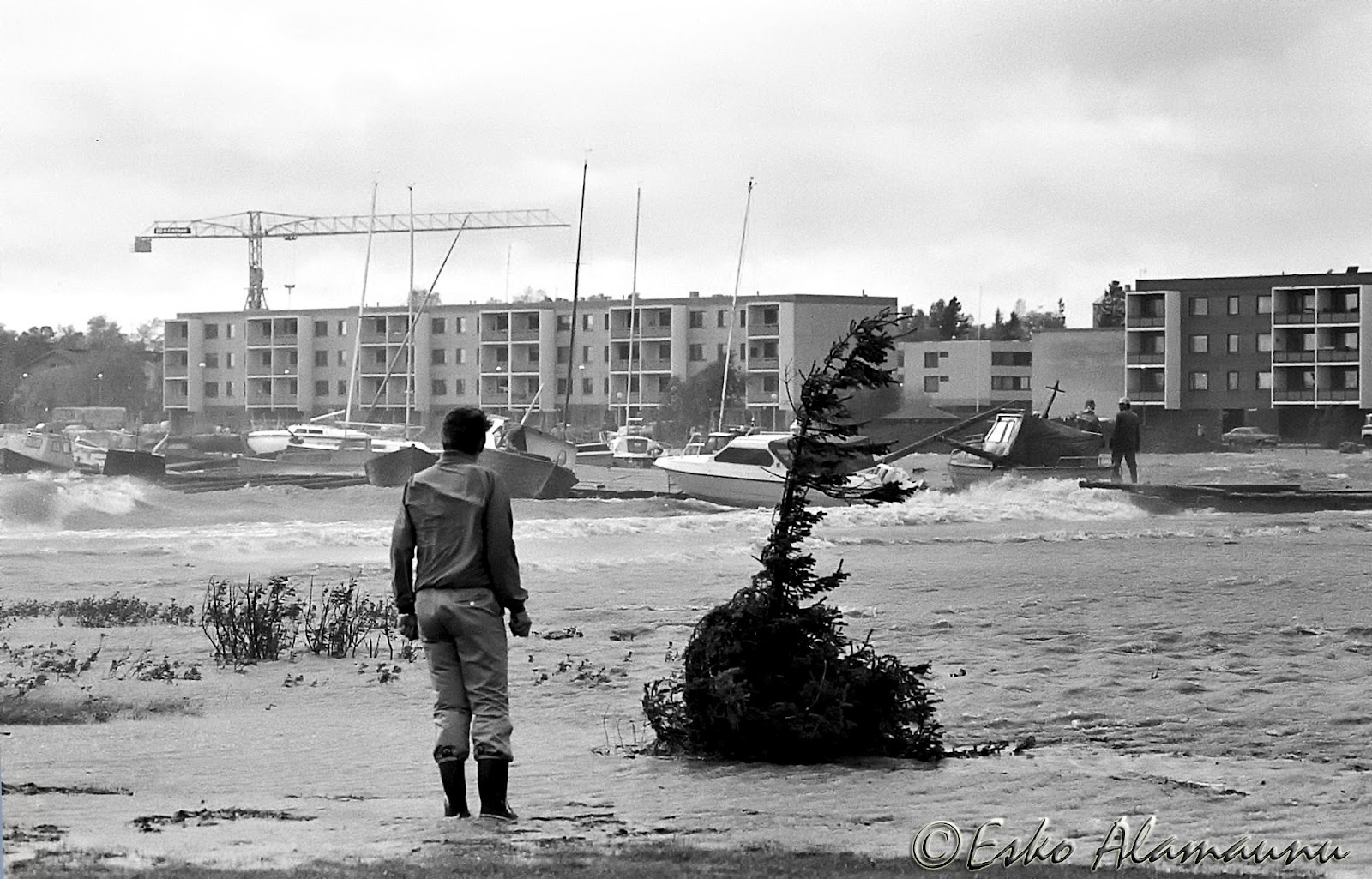 Eko-Kuvia: MAURI-MYRSKYSTÄ 30-vuotta...