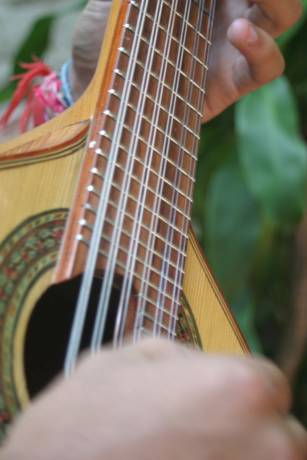 BANDOLA ANDINA COLOMBIANA: Sabías qué...