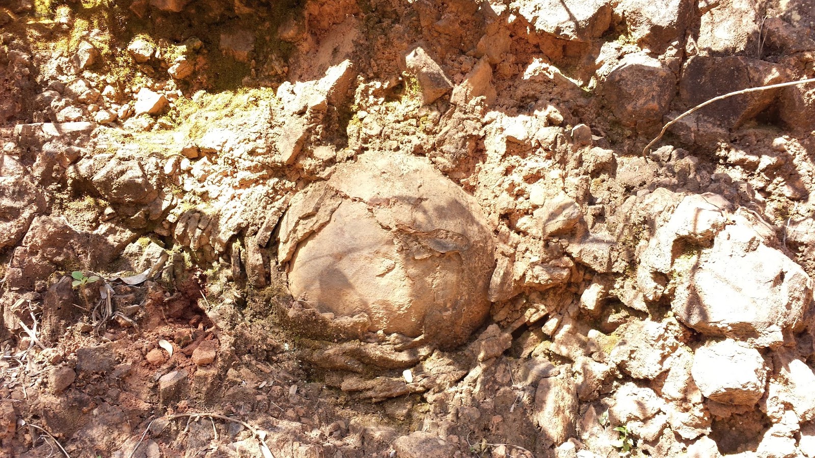 Meu Cosmos: Nota de uma aula de campo (geologia/pedologia) da UFV.