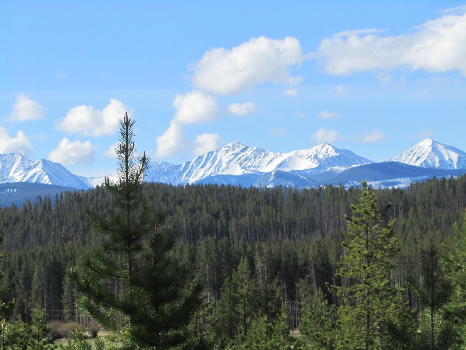 Tomcat's Outdoor Adventures: Anaconda-Pintler Wilderness Climb: Little ...