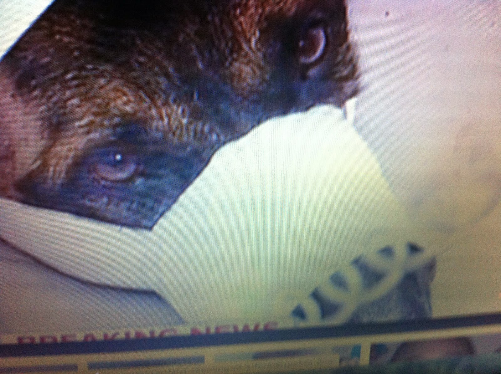 THE BLACK SOCIAL HISTORY:: BLACK SOCIAL HISTORY : BOY 17, SENTENCED TO ...