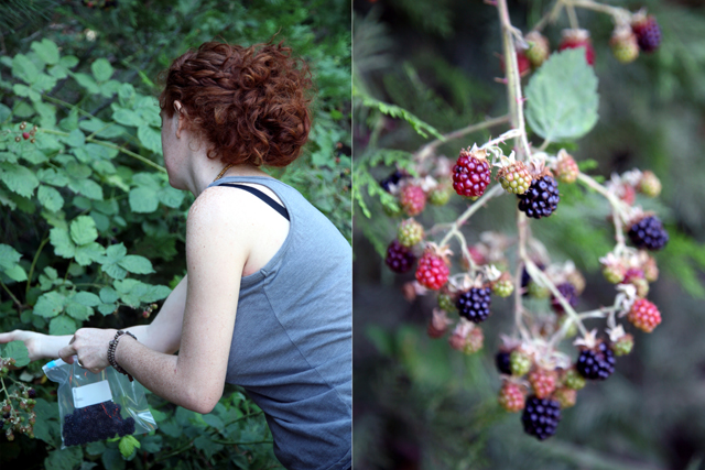 Papa's Poncho: Mountain Home State Forest