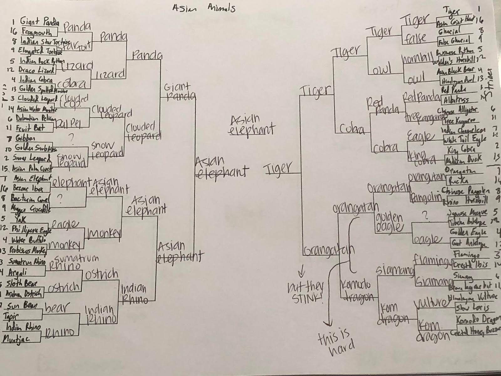 Junior's Brackets: Asian Animals Bracket