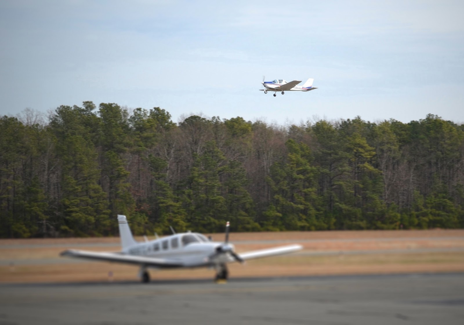 Flight To Success: Swayne Martin