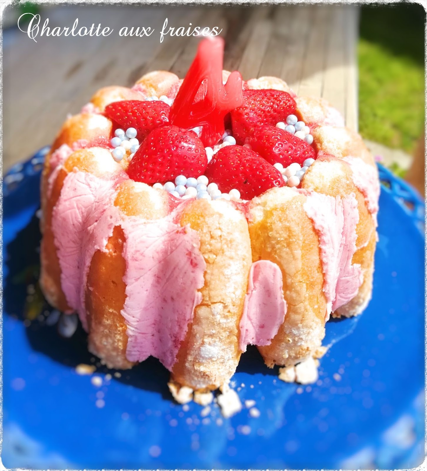 Charlotte aux fraises au Thermomix | ~~ Thermomix & cie....