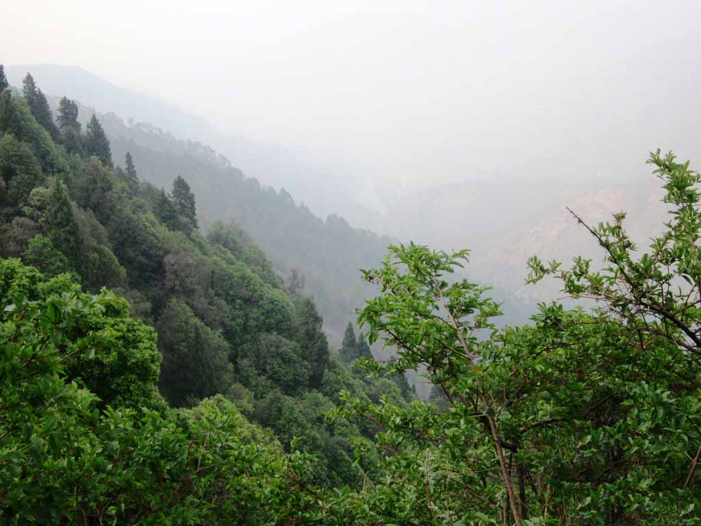 Indian Hill Stations: Unending vista of mountains with Nainital Tourism