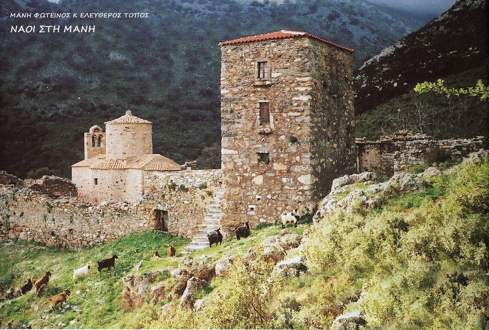 ΝΑΟΙ ΣΤΗ ΜΑΝΗ: ΟΙΤΥΛΟ (ΜΟΝΗ ΤΣΙΓΚΟΥ)