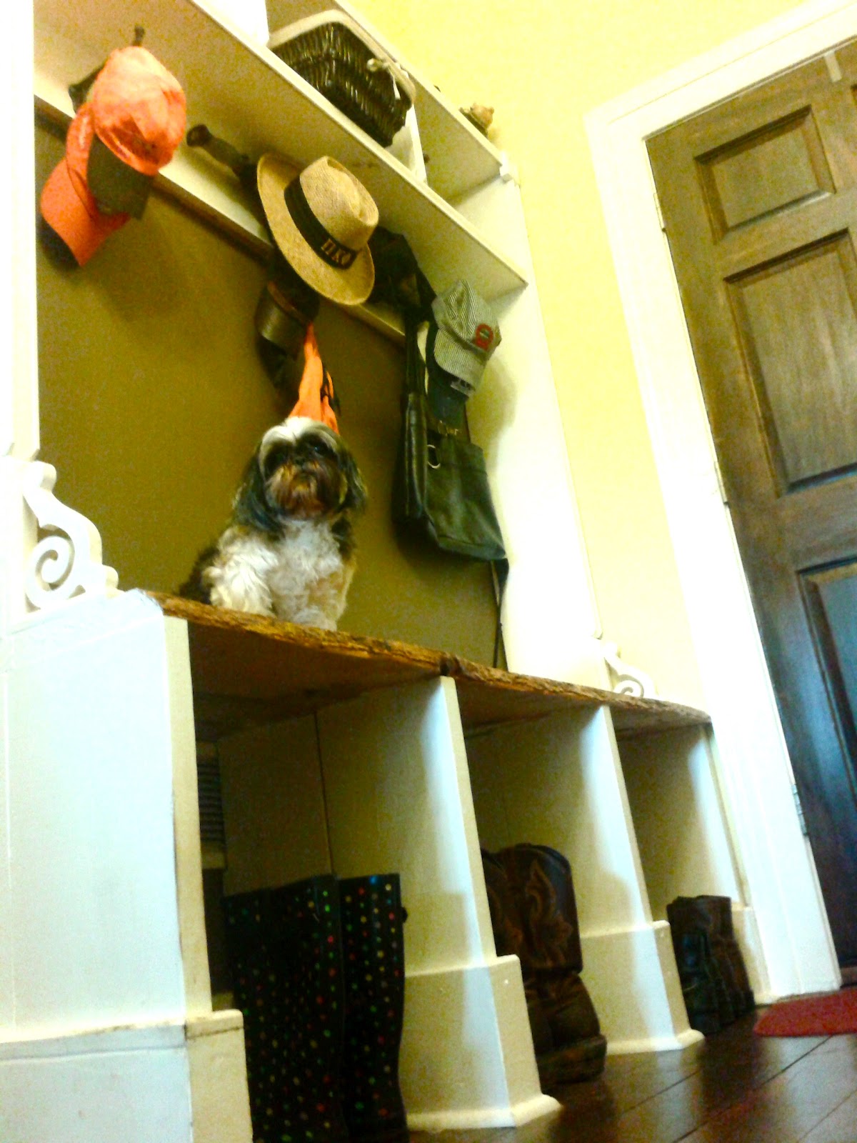 Our Minimal Mansion: The Birth and Life of the "nook"