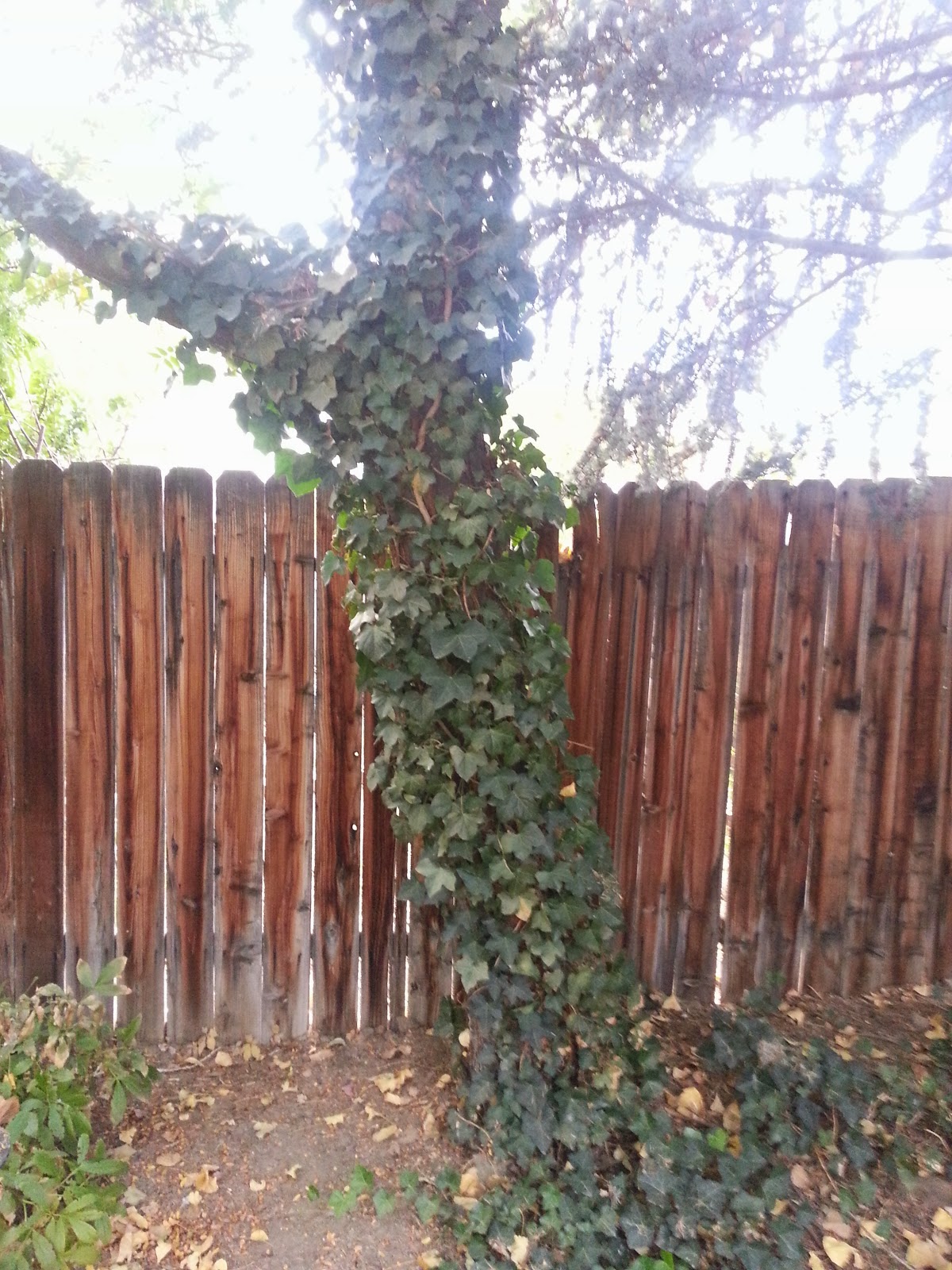 Meeting in the Middle: Where Art Collides with Knowledge: A Look at the ...