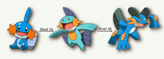 evoluciones de mudkip