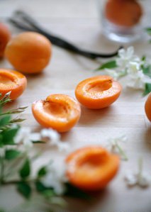 Gastronomía a Libreta Abierta, [=I=]: Chabacano