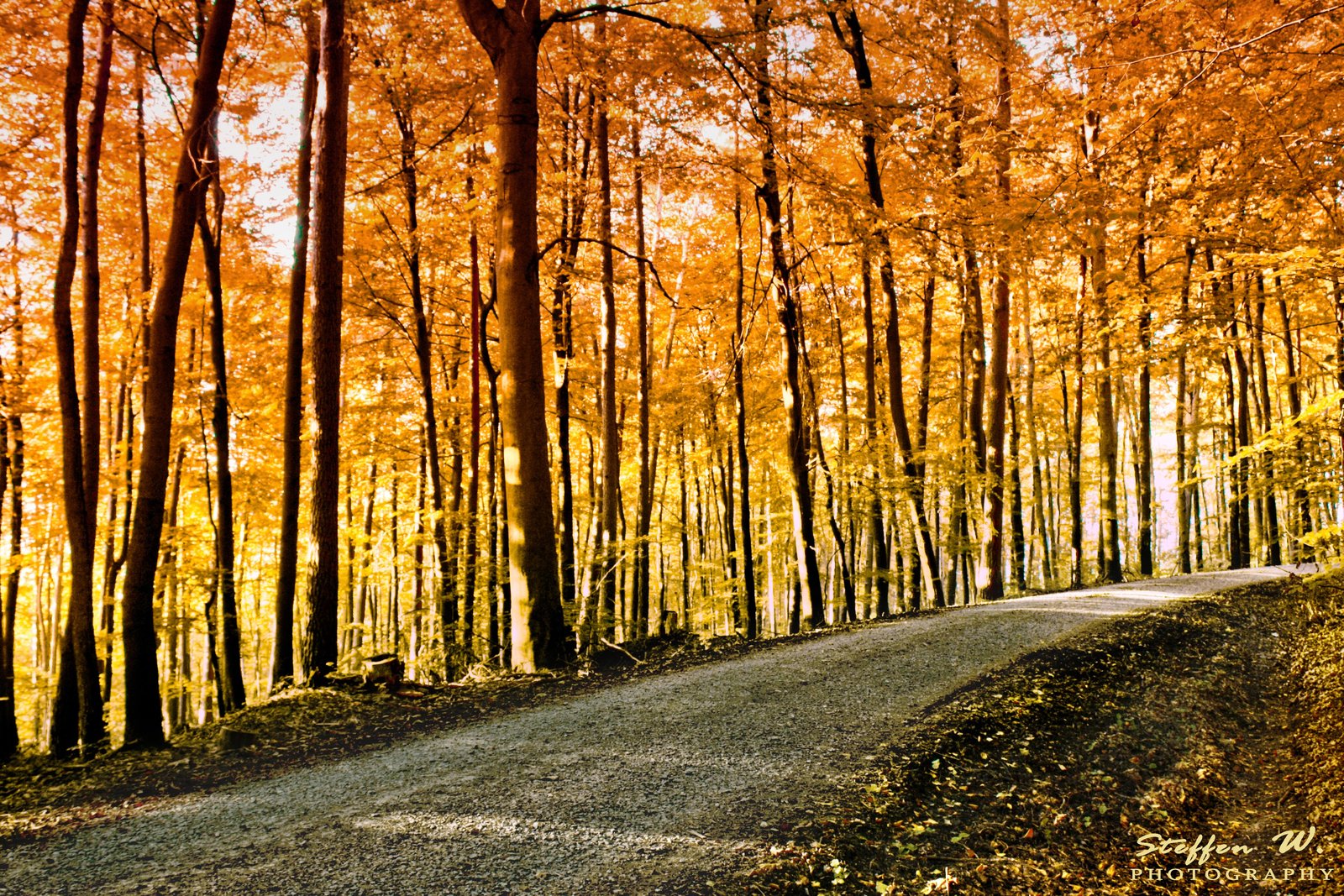 Imagini cu toamna, imagini de toamna | StolenIMG