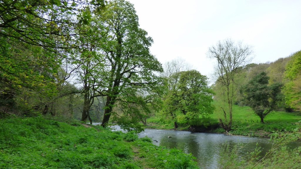 Walks for landscape painting subjects: Walk to Kepier Woods