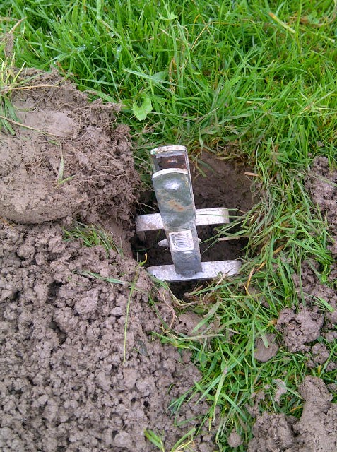 From the Country: Finding Mole Runs