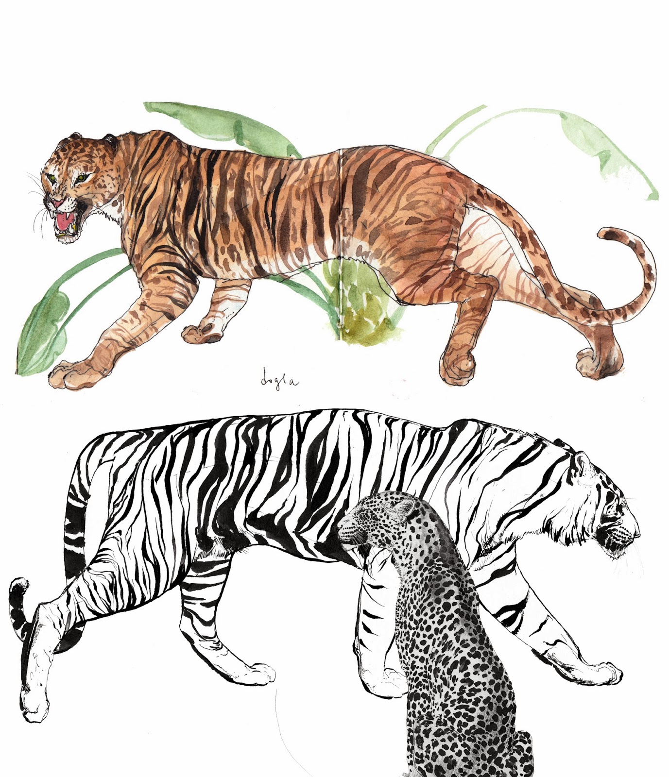 Tiger And Leopard Mix