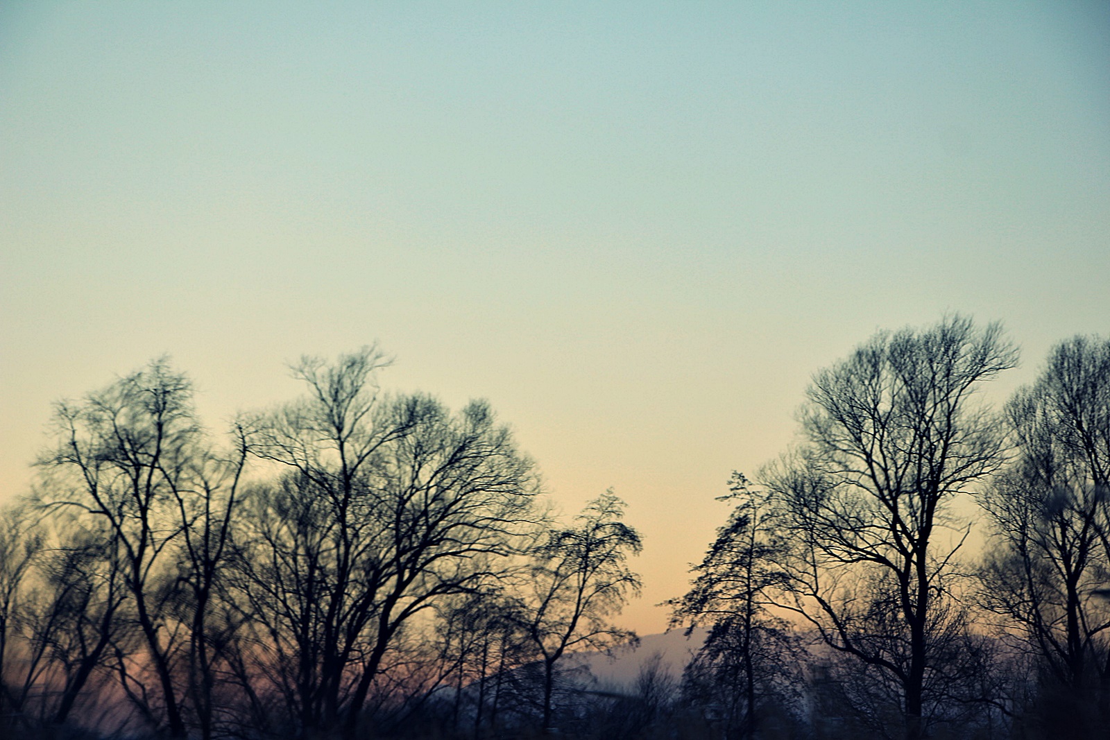 VSE BARVE ZIME / ALL COLOURS OF THE WINTER