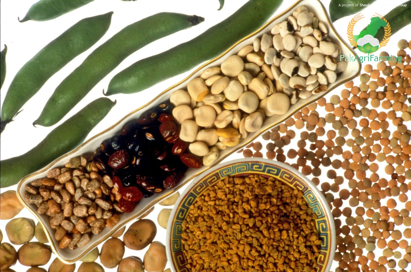 Characteristics For Evaluation Of Seed Quality Characteristics For Evaluation Of Seed Quality