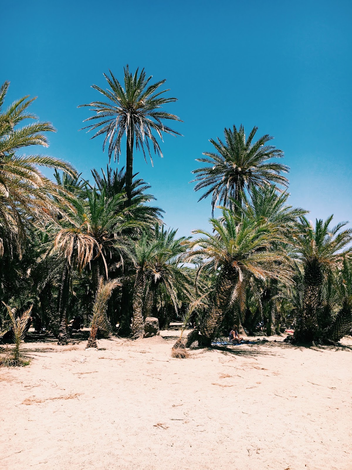 wyspa Chrissi, plaża Vai ~ ginger rosa