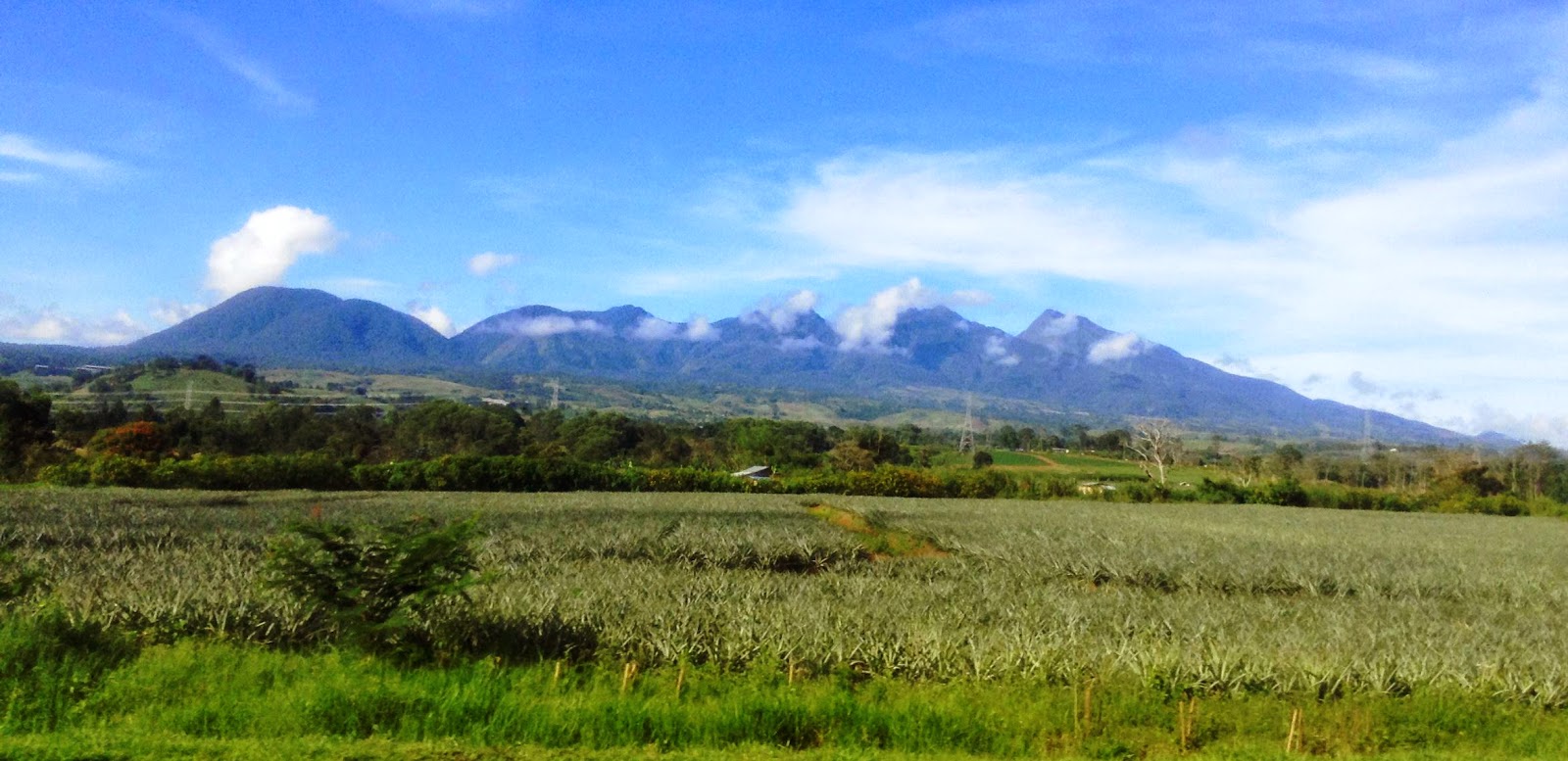 iamerwinsy: Dayhiking Mt. Kintanglad and Mt. Dulang-Dulang (D2K)