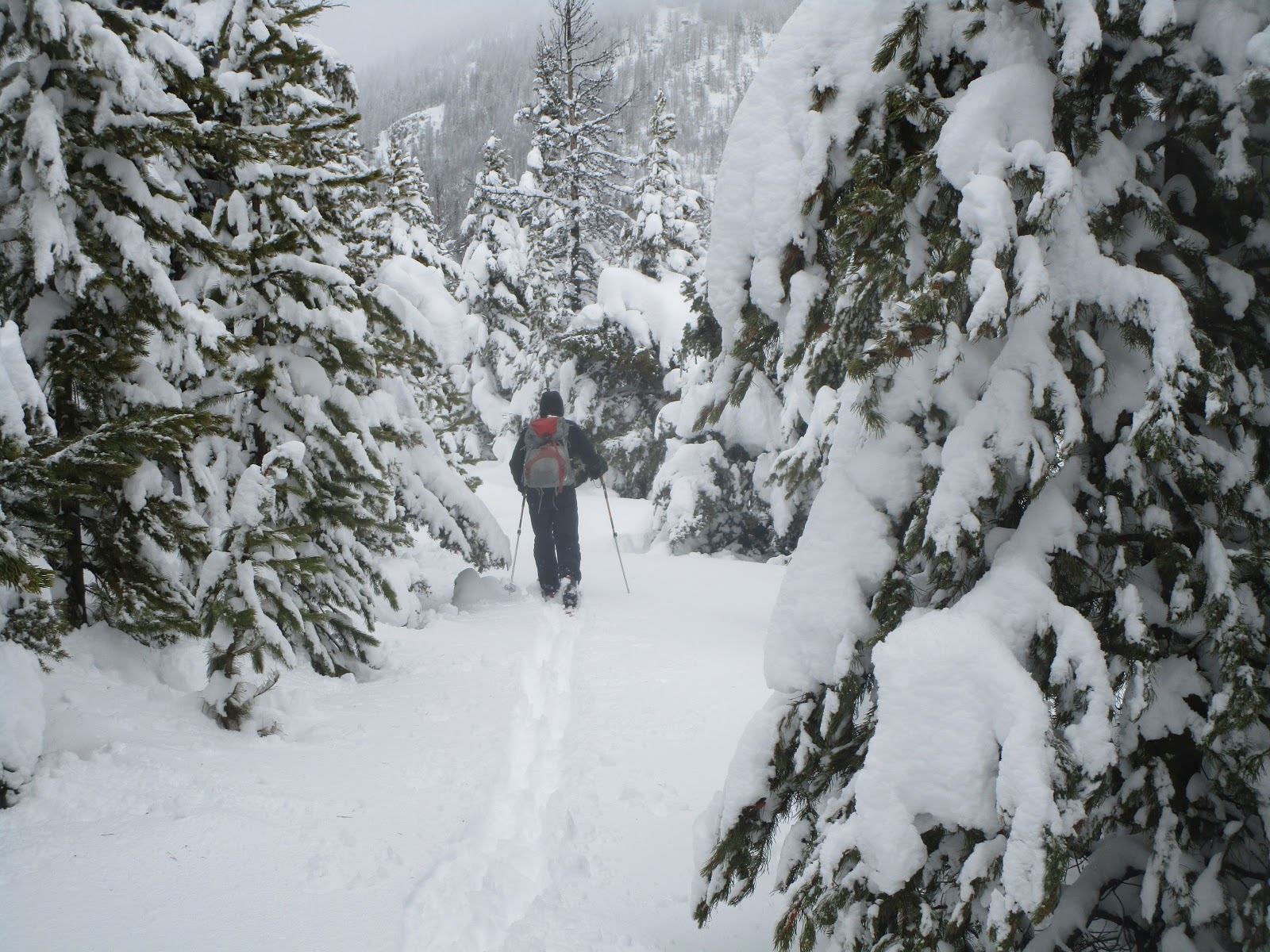 Out there with Tom: Deadman, Nugget, Flesher, Dr. Elton Adams