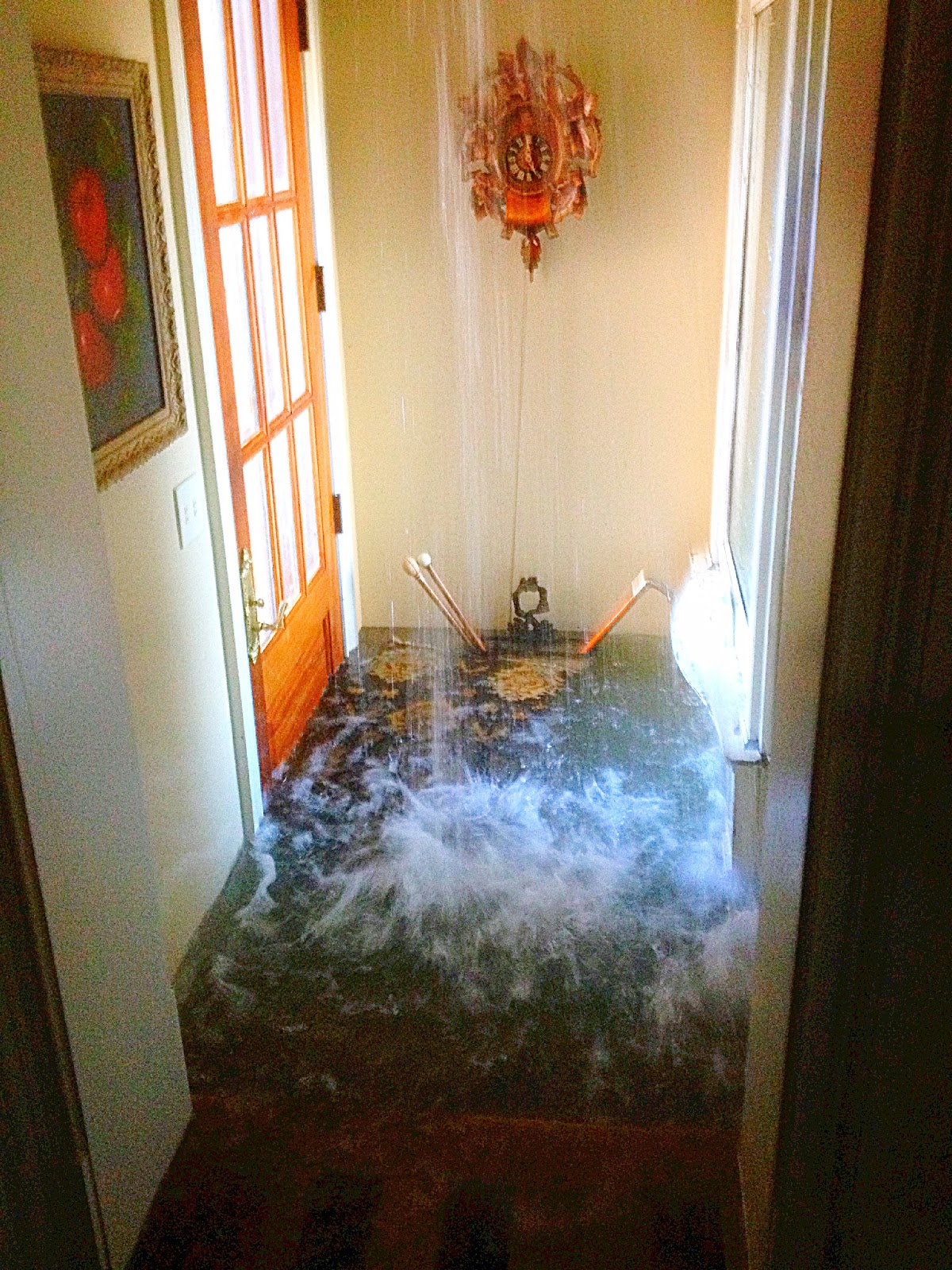 Brentwood Fire and Rescue: January 2014