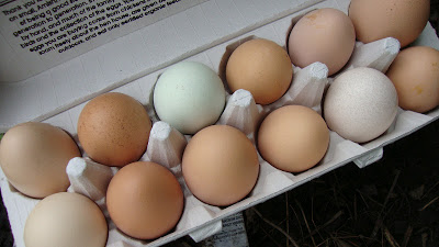 MORE TIME AT THE TABLE: 38 Power Foods, Week 34 -- Eggs -- Sriracha ...