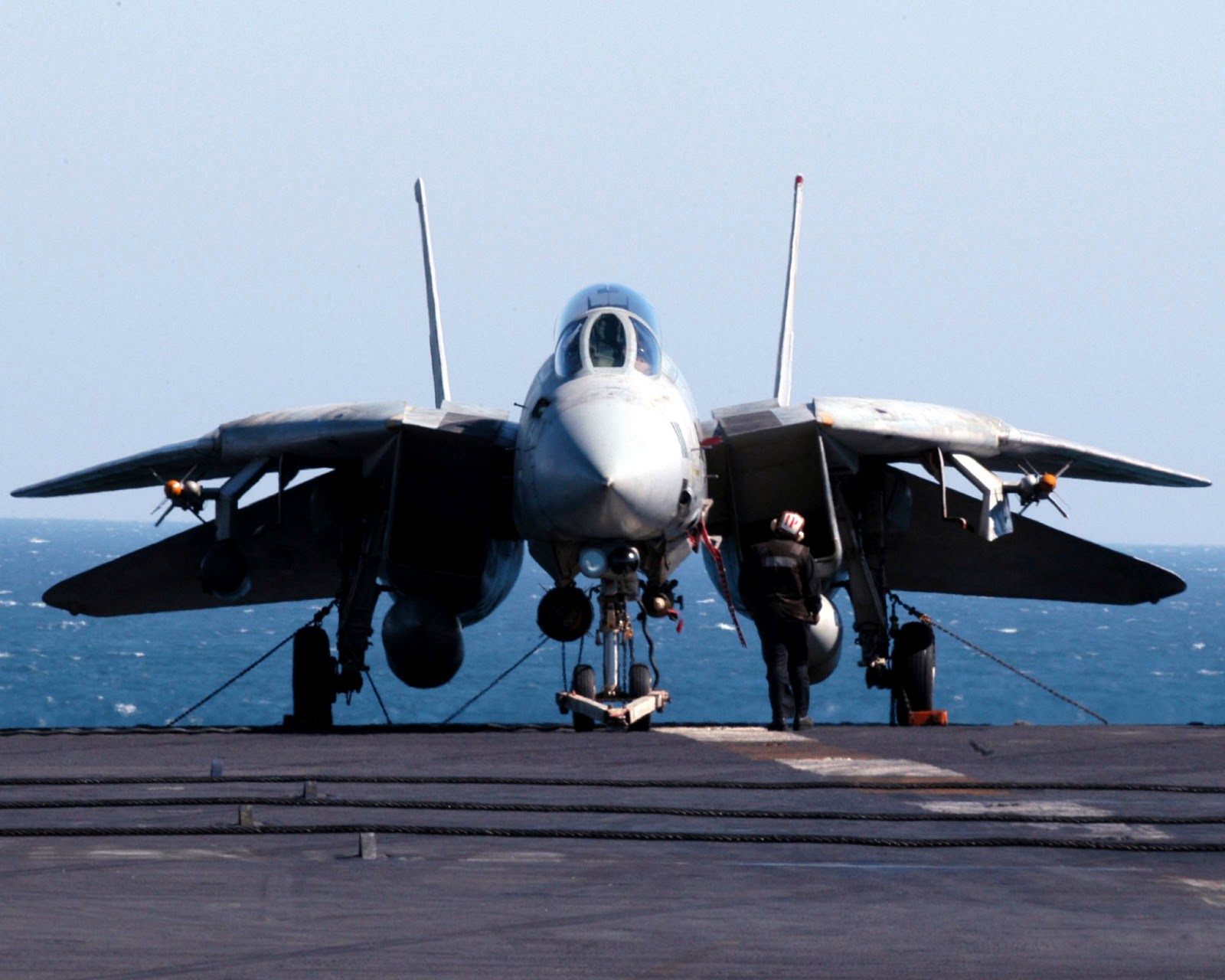 Military Fighter Jets: Grumman F-14 Tomcat