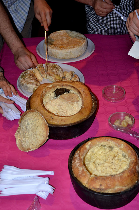 Mahengechromis: 2012