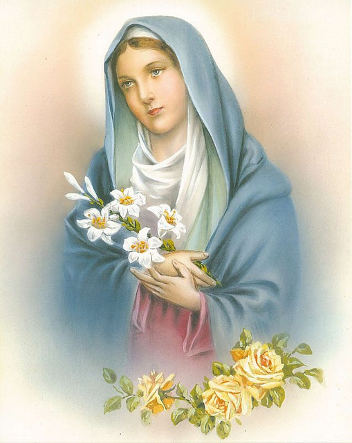 The Catholic Reader: Feasts of the Blessed Virgin Mary