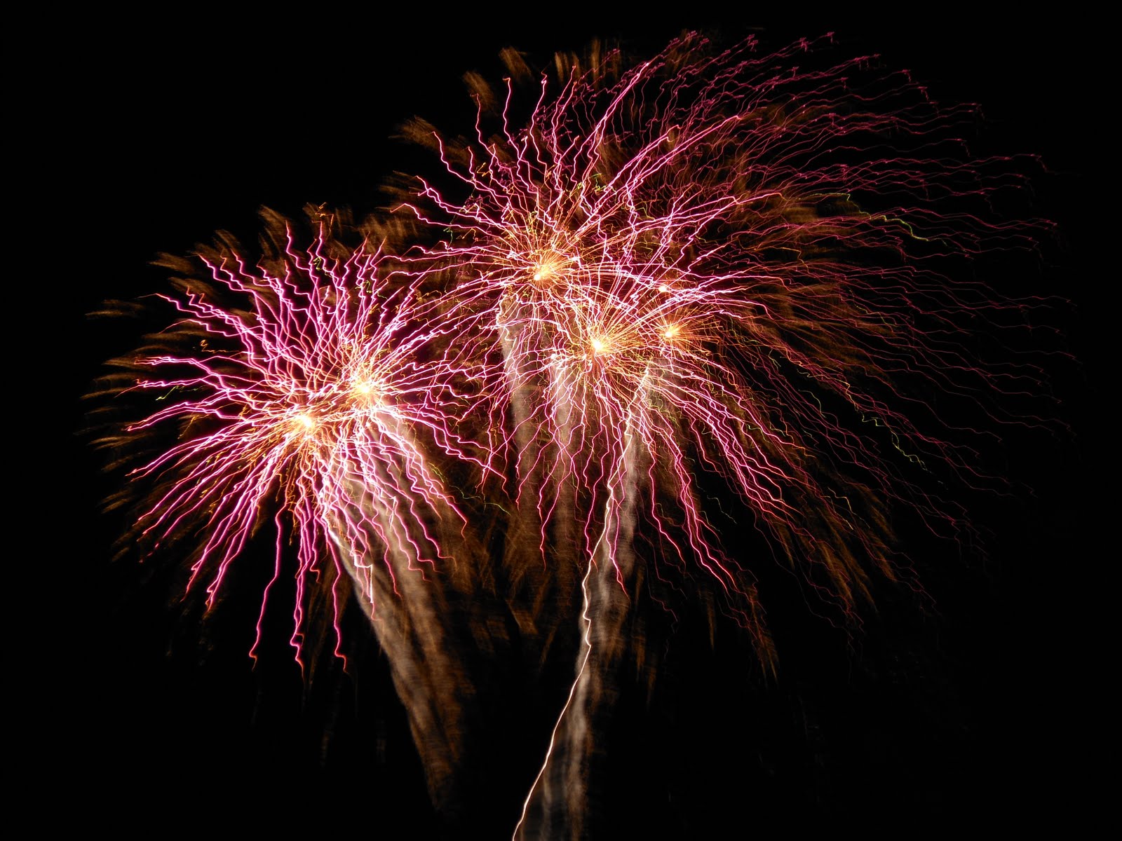 Tay Tay's Random Blog: Cool Fireworks Pics from the 4th