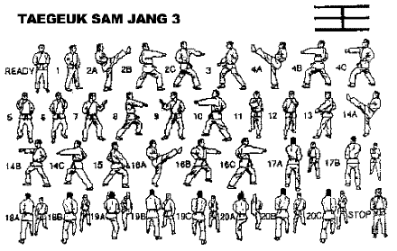 MAGOS TAEKWONDO: TAEGUK