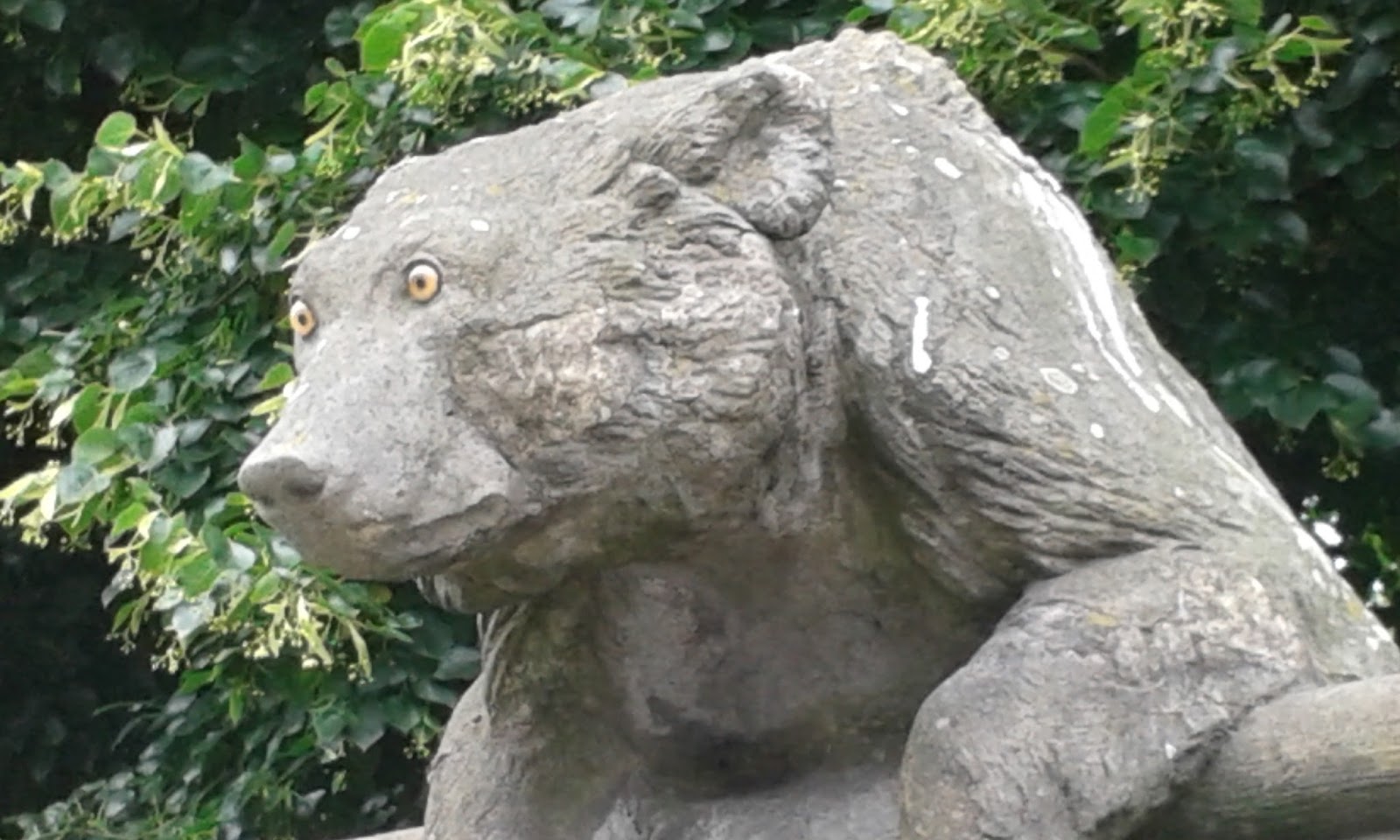 Vraie fiction: L'ours sur le mur