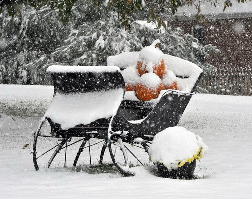 Something wicKED this way comes....: Snumpkins [Snow Pumpkins] (Day 11 ...