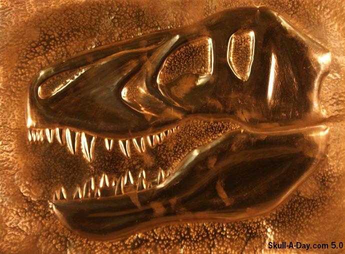 Copper Relief Skulls