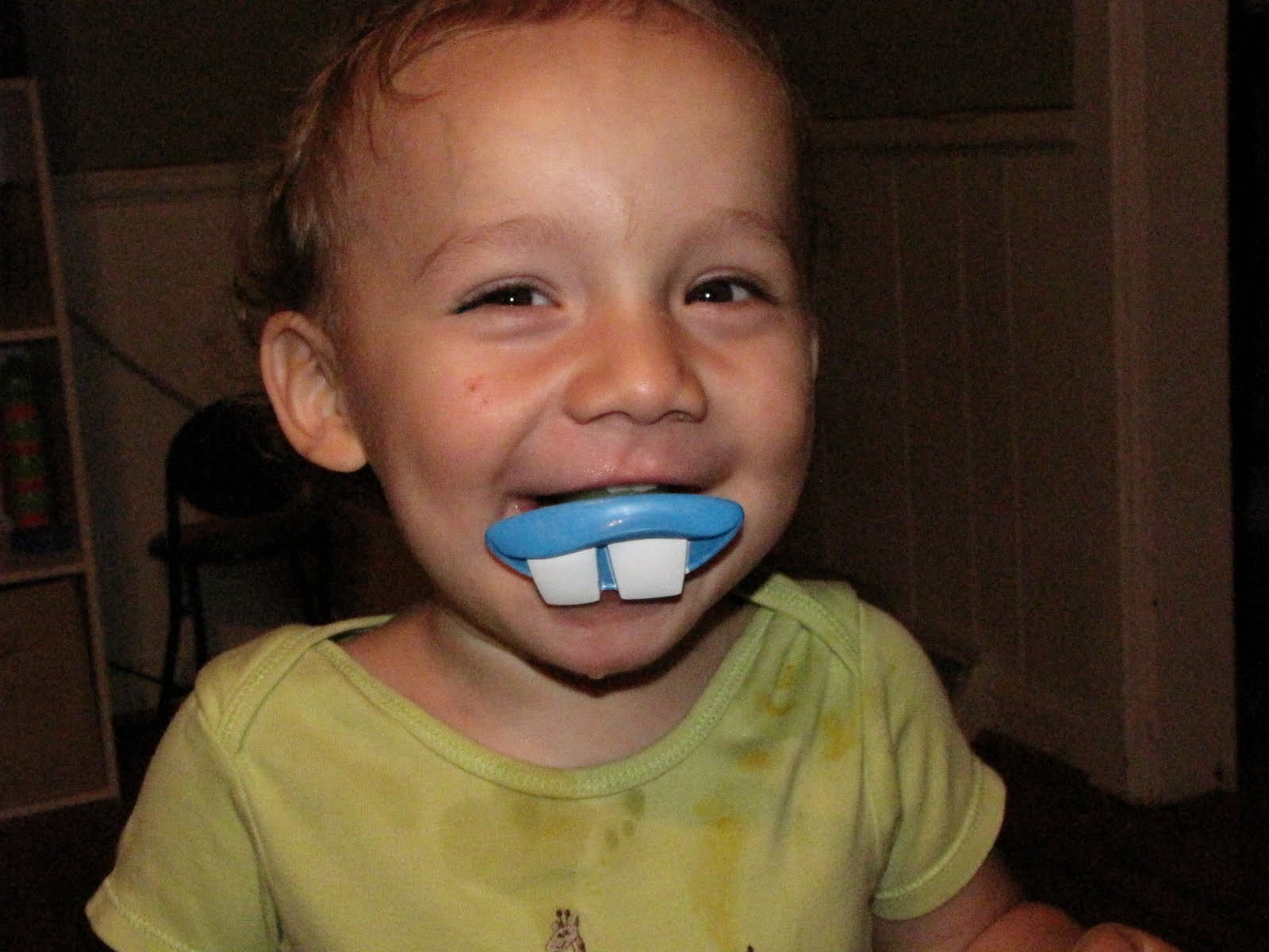 The Todd Lot: 2 Buck Teeth for 1 Buck!