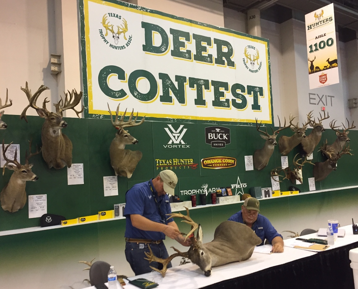 NationalForestHunter