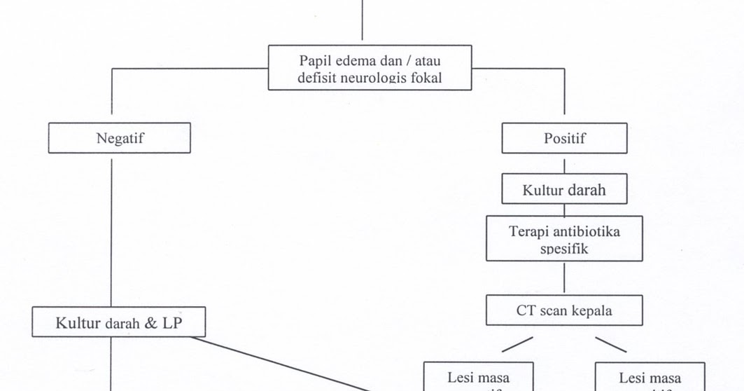 Mengerti Kedokteran: Meningitis Pada Anak