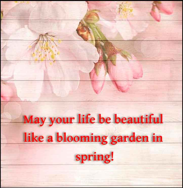 Birthday Wishes for Friend with Images, Pictures, Photos