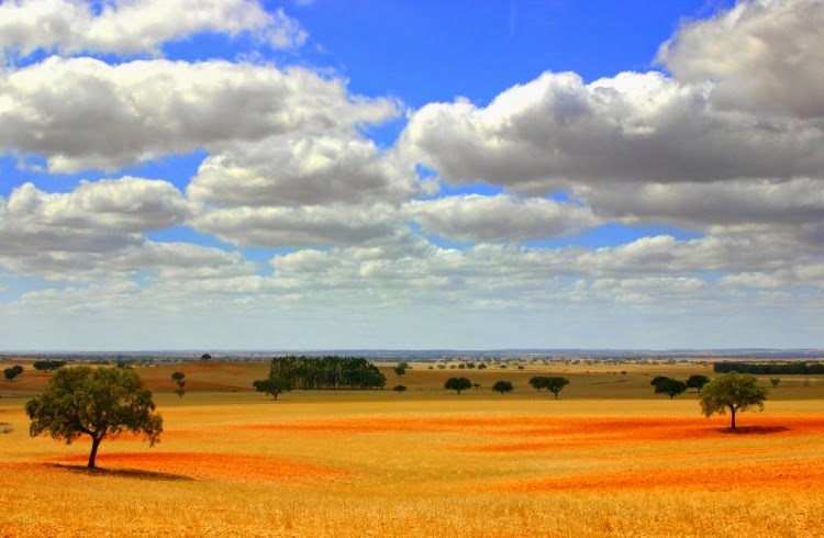 Campomaiornews: O Alentejo está a encantar o mundo e recebe prémios ...