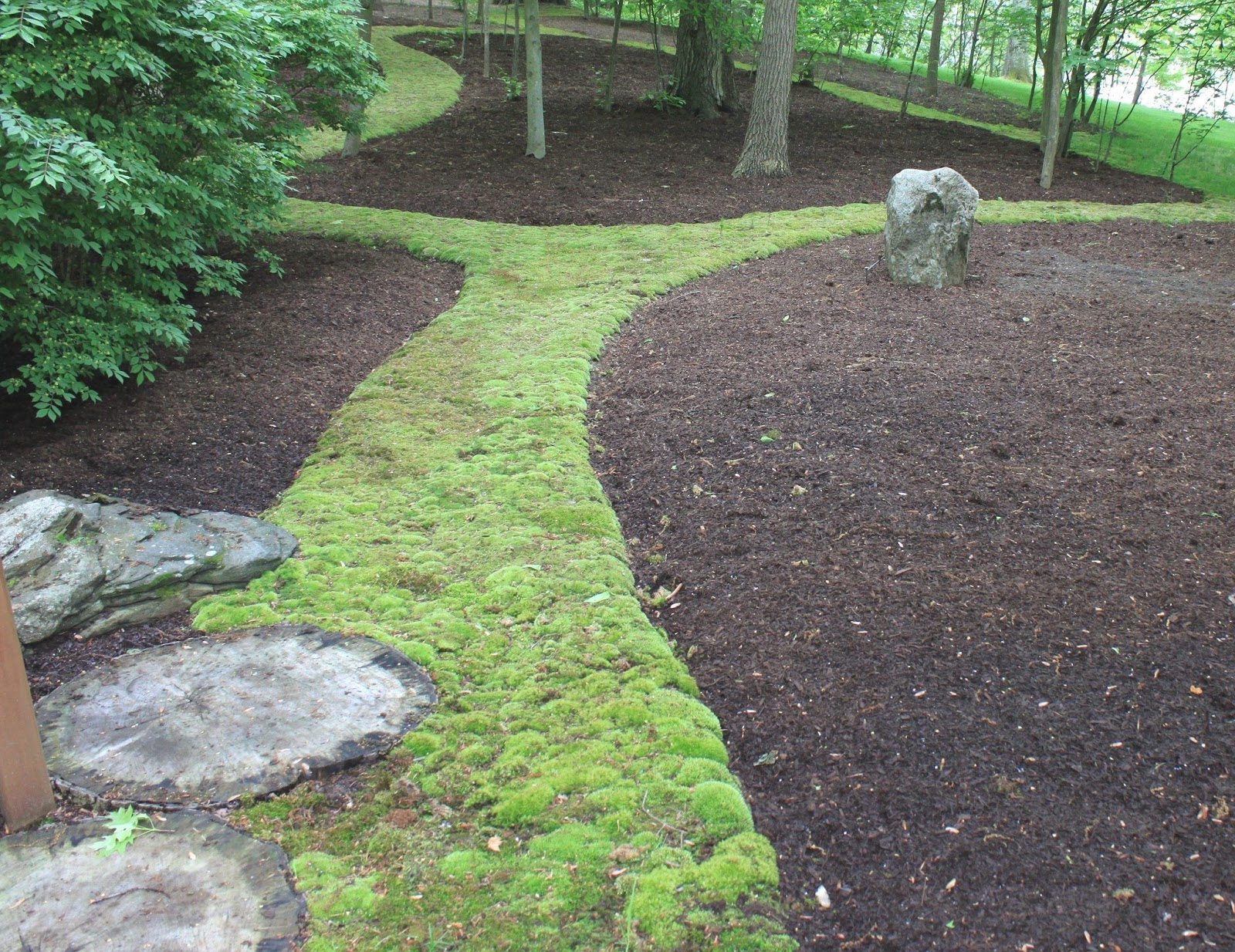 Mossy Path - Jan Johnsen