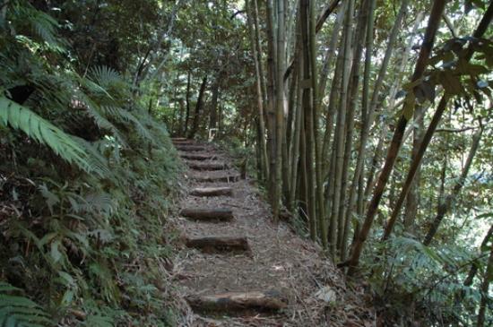1ste Bier Verhaal van Januari: Hairoun - Saint Vincent en de Grenadines