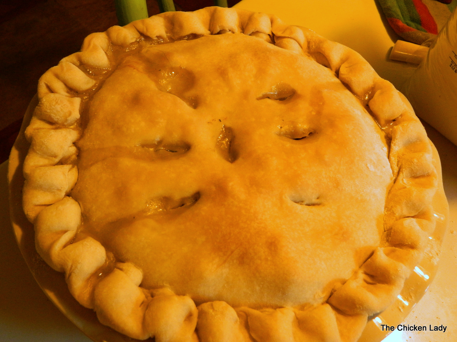Chicken Lady's Great Adventures: Mmm...Pot Pie!