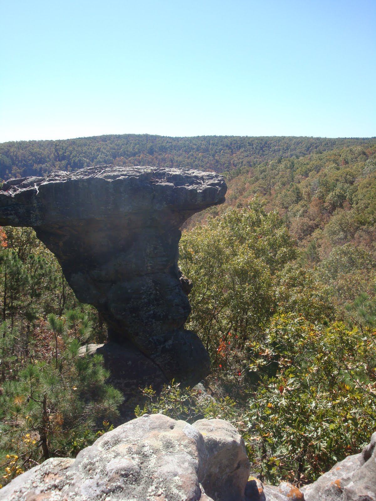 A Walk in the Woods: Pedestal Rocks